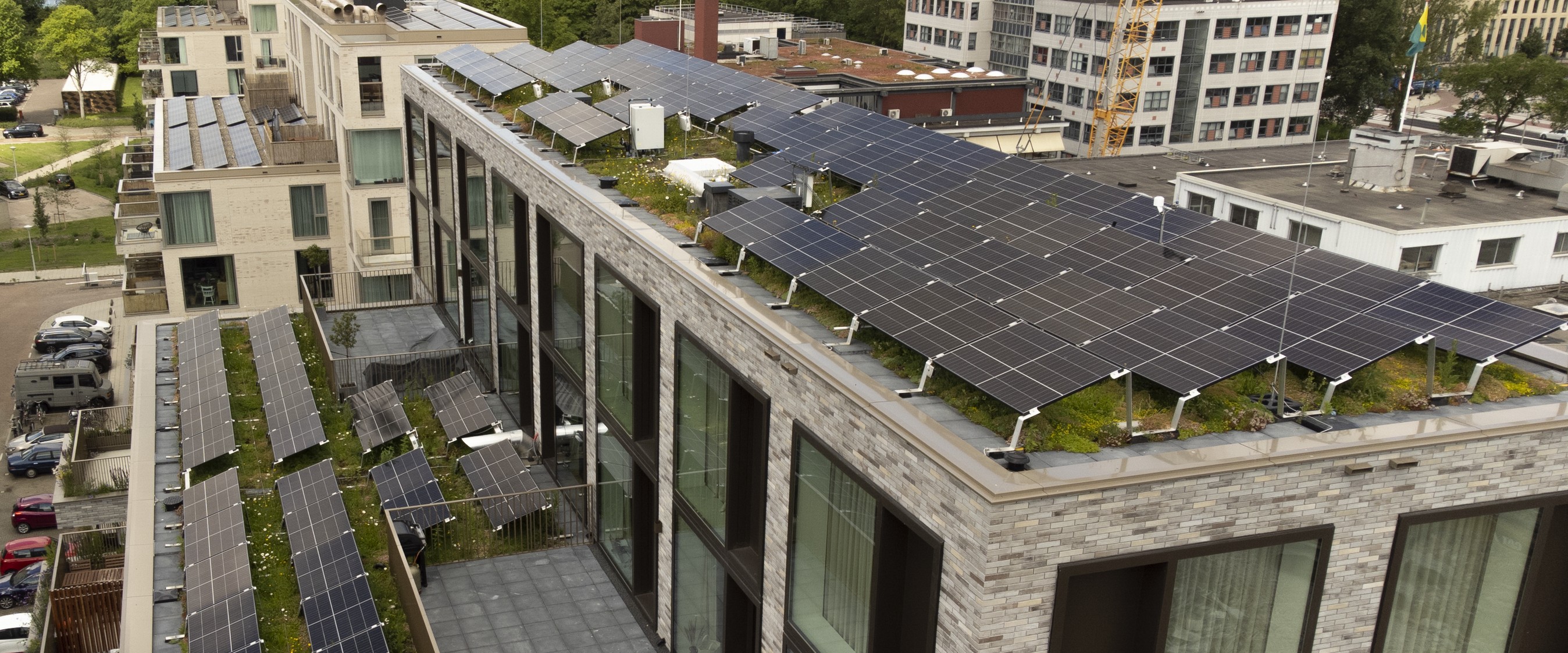 Solnet | Nederlands | Project Mannoury